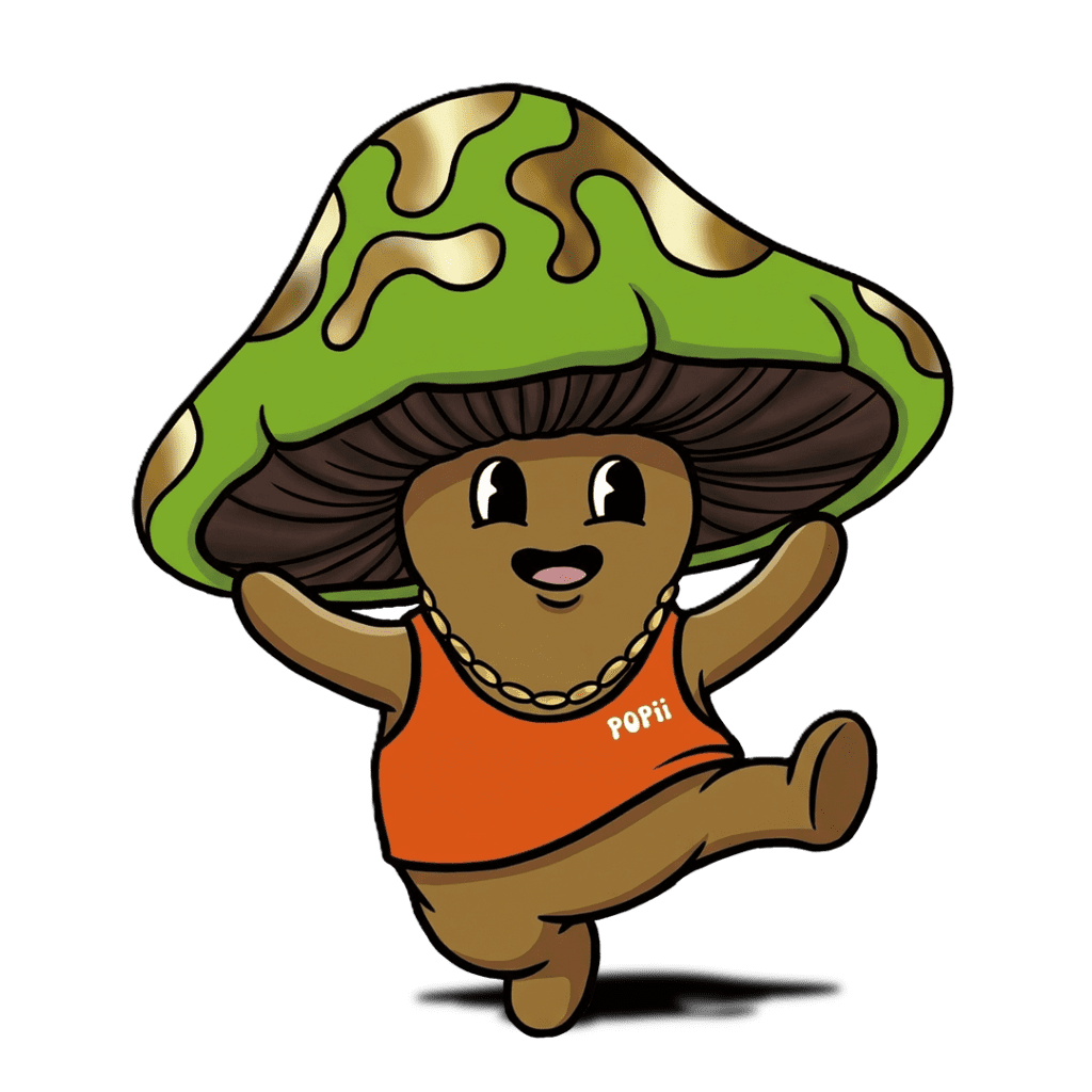 Meet the POPii Team | POPii